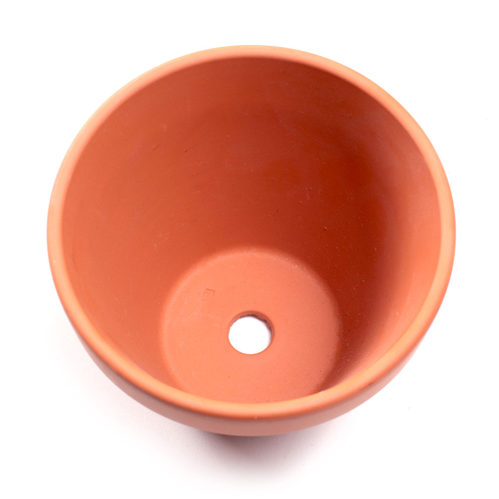 Planting Succulent Cuttings: A Visual Guide - Mountain Crest Gardens