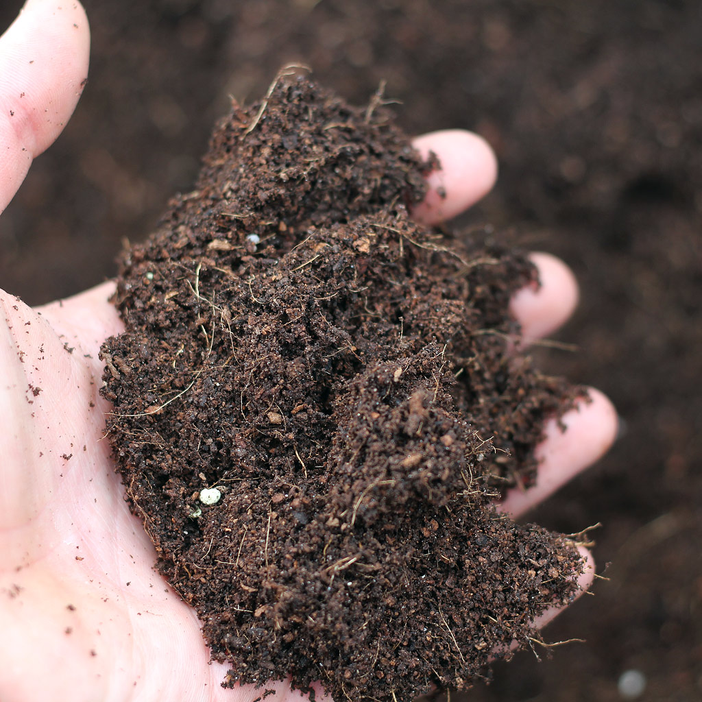 Succulent Soil: The Ultimate Guide - Mountain Crest Gardens